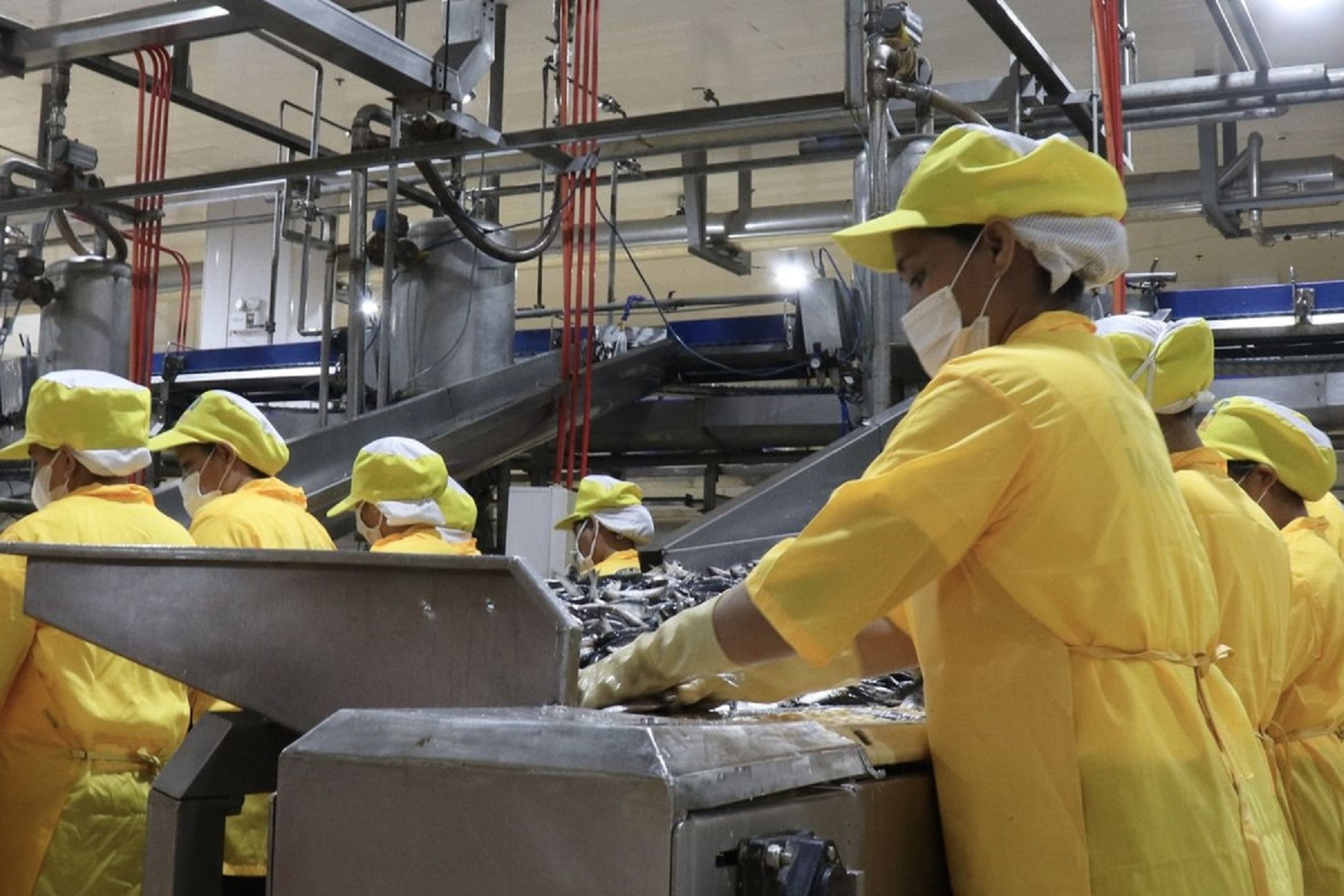 Wage board grants P35 to P50 wage hike in Calabarzon - Philippine ... Wage board grants P35 to P50 wage hike in Calabarzon - Philippine ...
